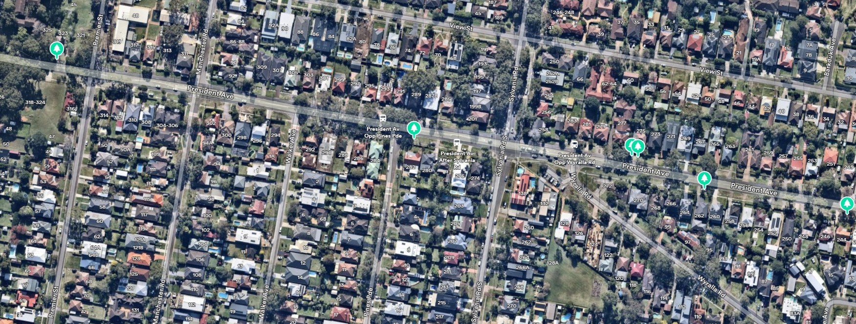 Tree Management Works | Sutherland Shire Council